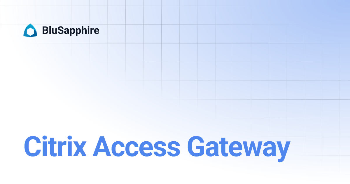 Citrix Access Gateway | BluSapphire